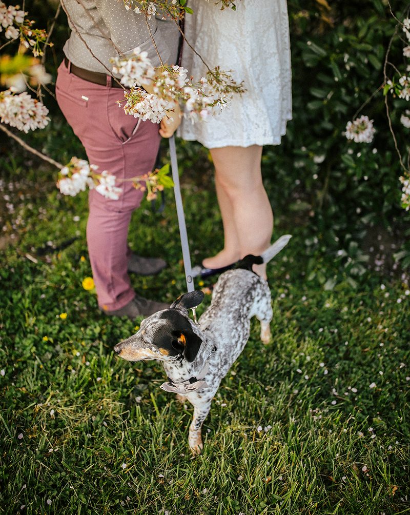 Cat shoes and tattoos: a queer D.C. elopement • Offbeat Wed (was ...