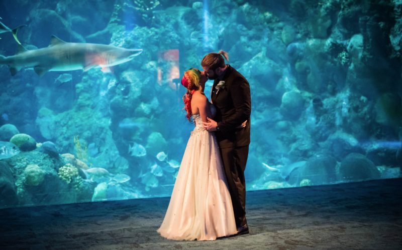 This aquarium wedding was perfect for a mermaid-haired bride named ...